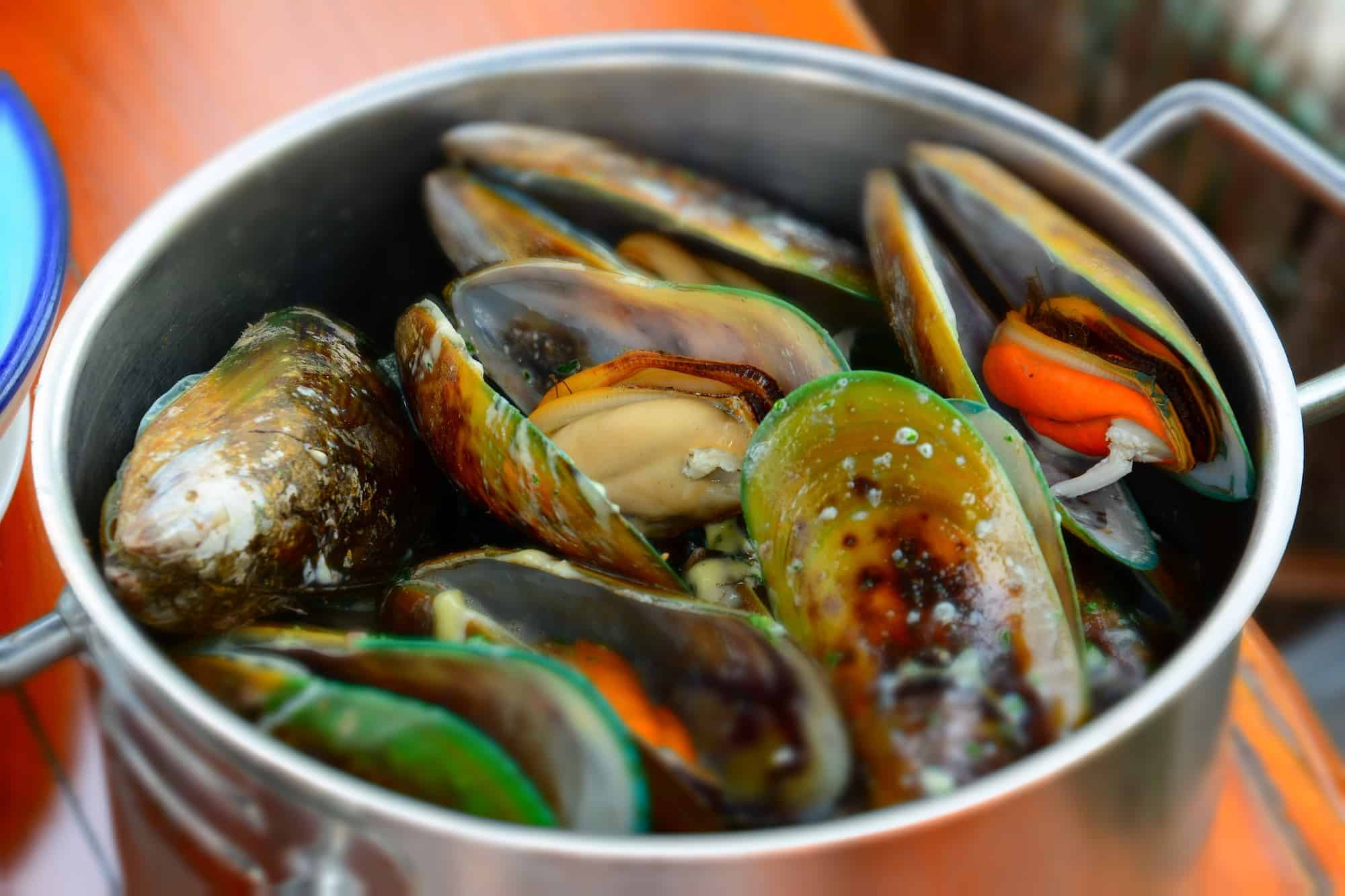 Greenshell mussels in White Wine Sauce - Le Comptoir de l ocean
